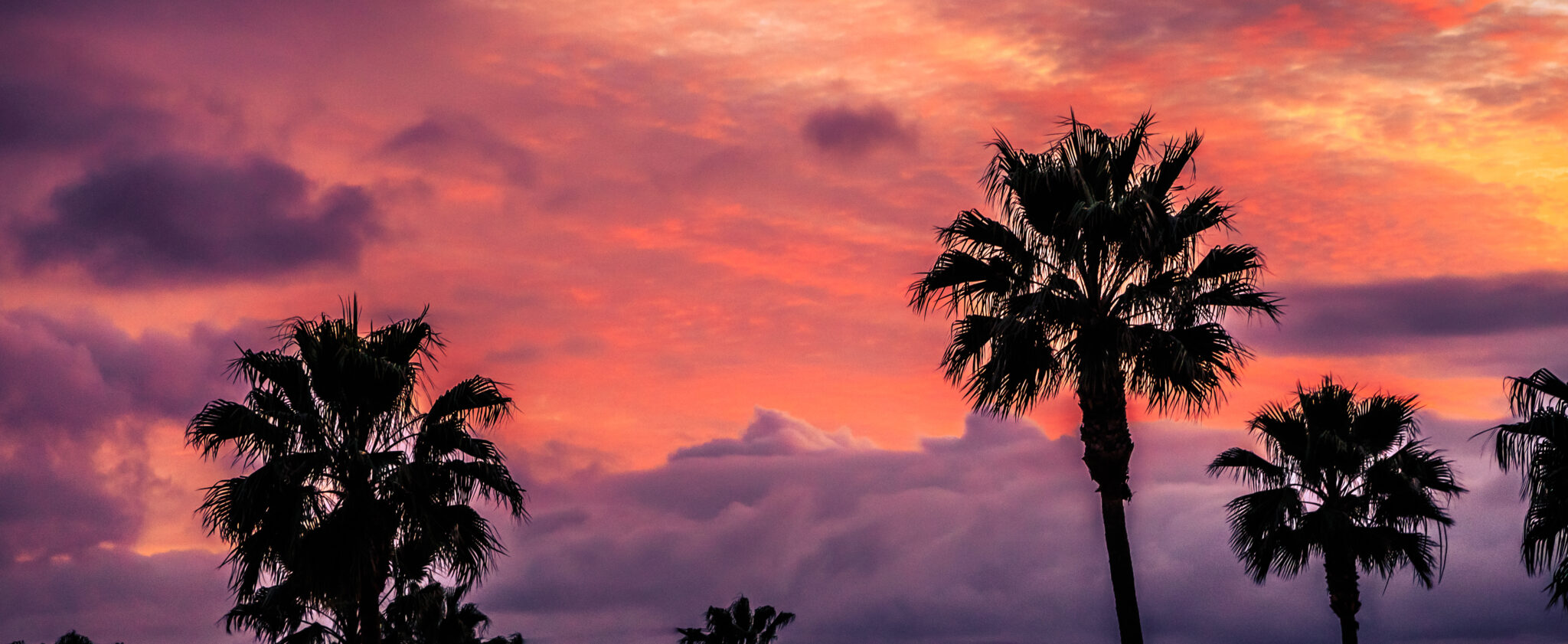Powering Up: How SMUD’s $10,000 Incentives Are Empowering California ...